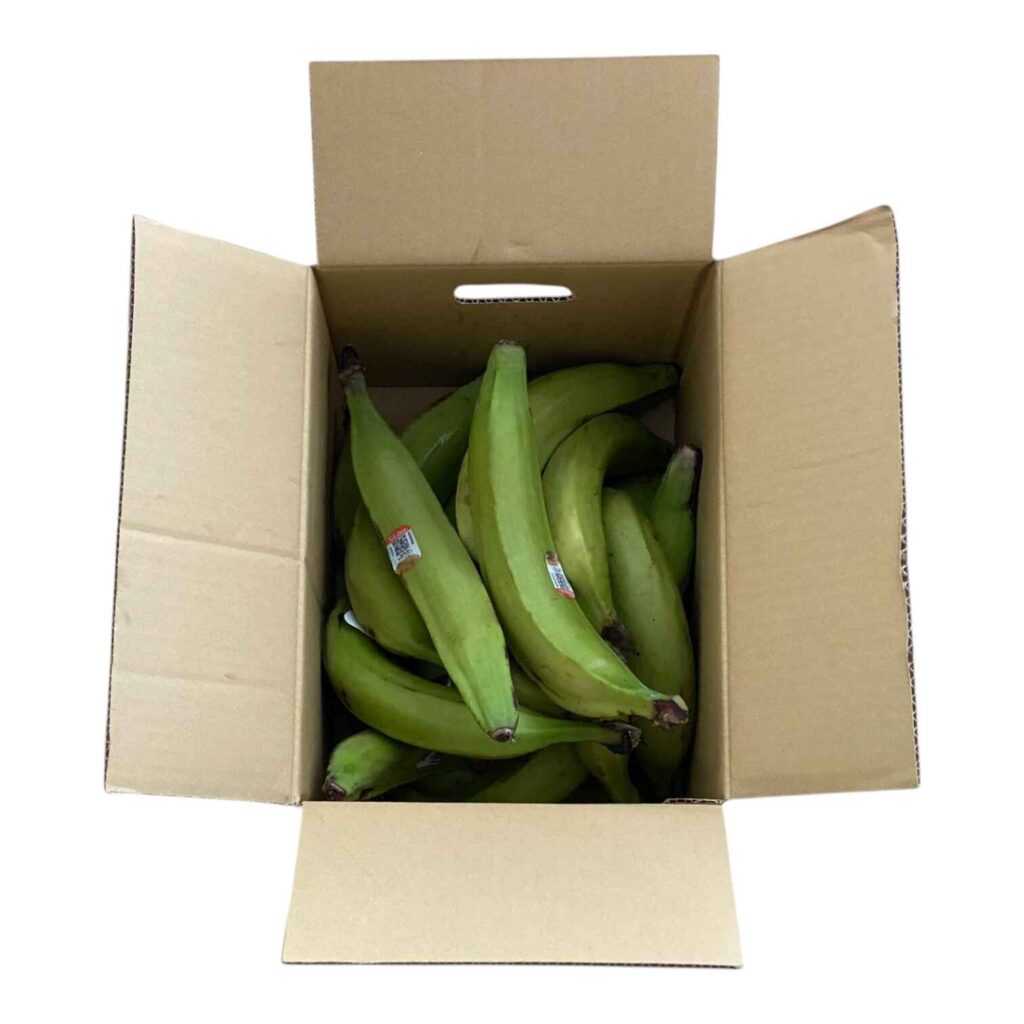 Fresh Green Plantains 5kgs - Japan Wholesale Ecuador Plantains