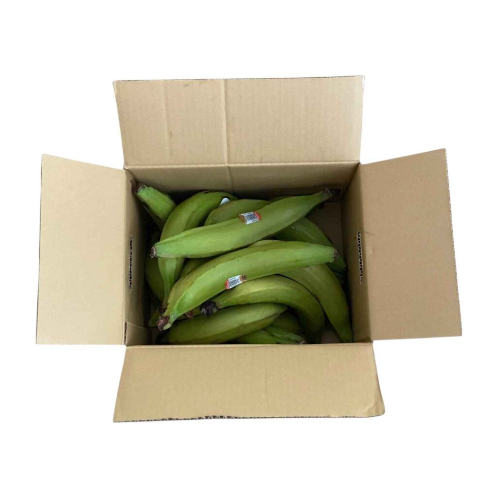 Fresh Green Plantains 5kgs - Japan Wholesale Ecuador Plantains