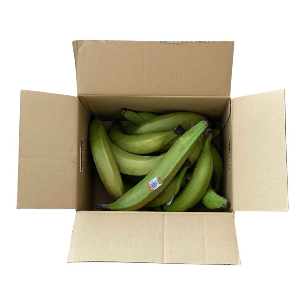 Fresh Green Plantains 5kgs - Japan Wholesale Ecuador Plantains