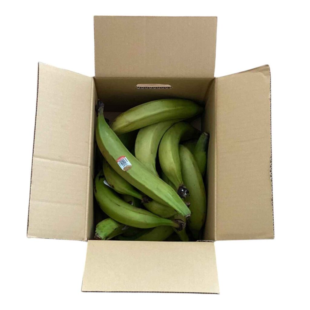 Fresh Green Plantains 5kgs - Japan Wholesale Ecuador Plantains